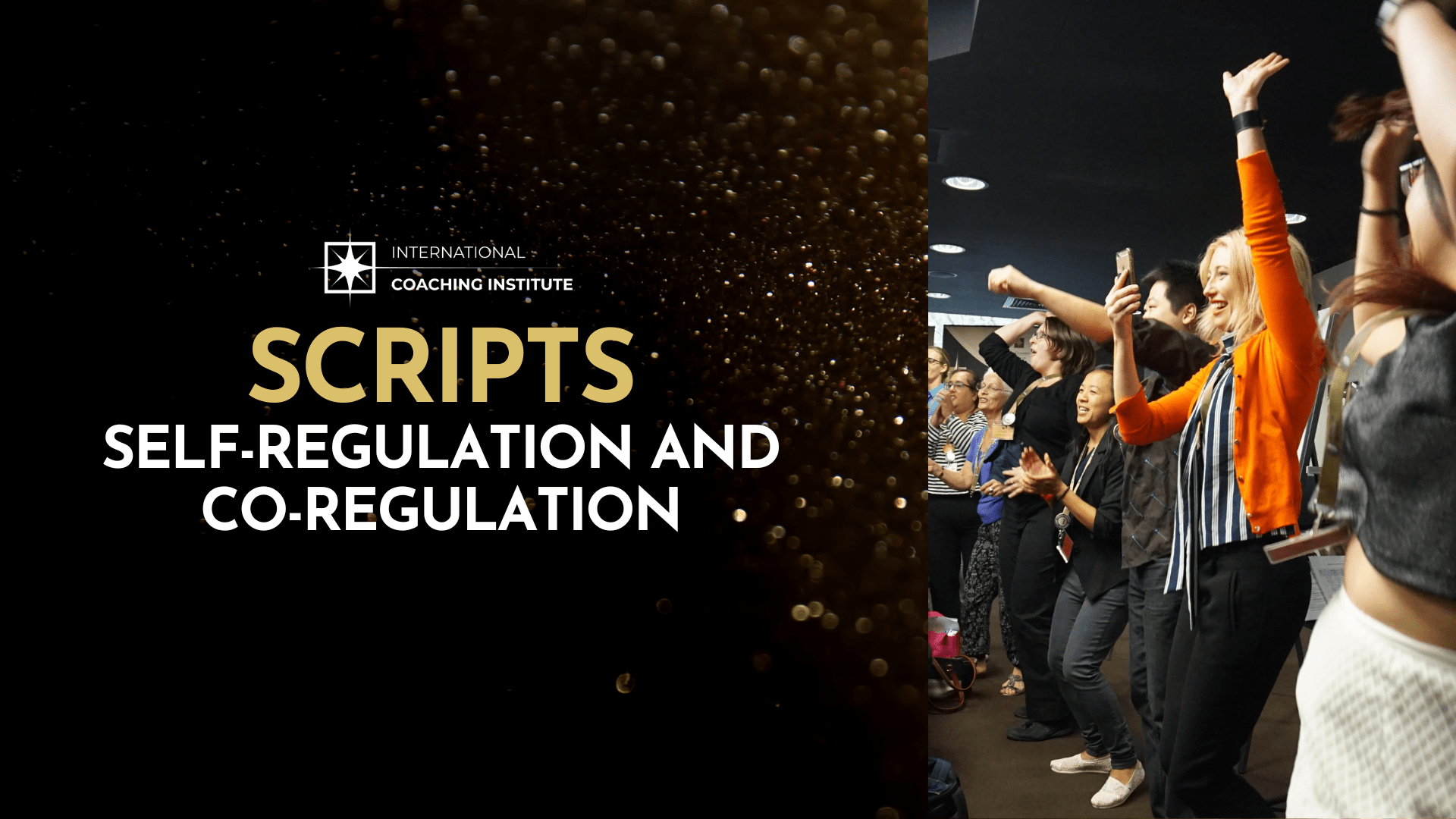 Meta Coaching Masterclass | International Coaching Institute